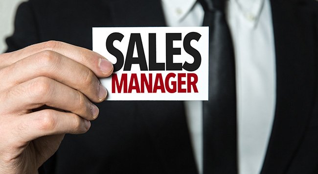 SALES MANAGER - ManSystems Business Consultants